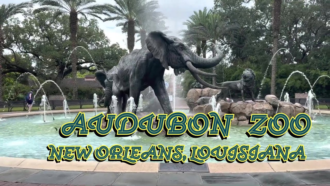 Audubon Zoo New Orleans, Louisiana. - YouTube