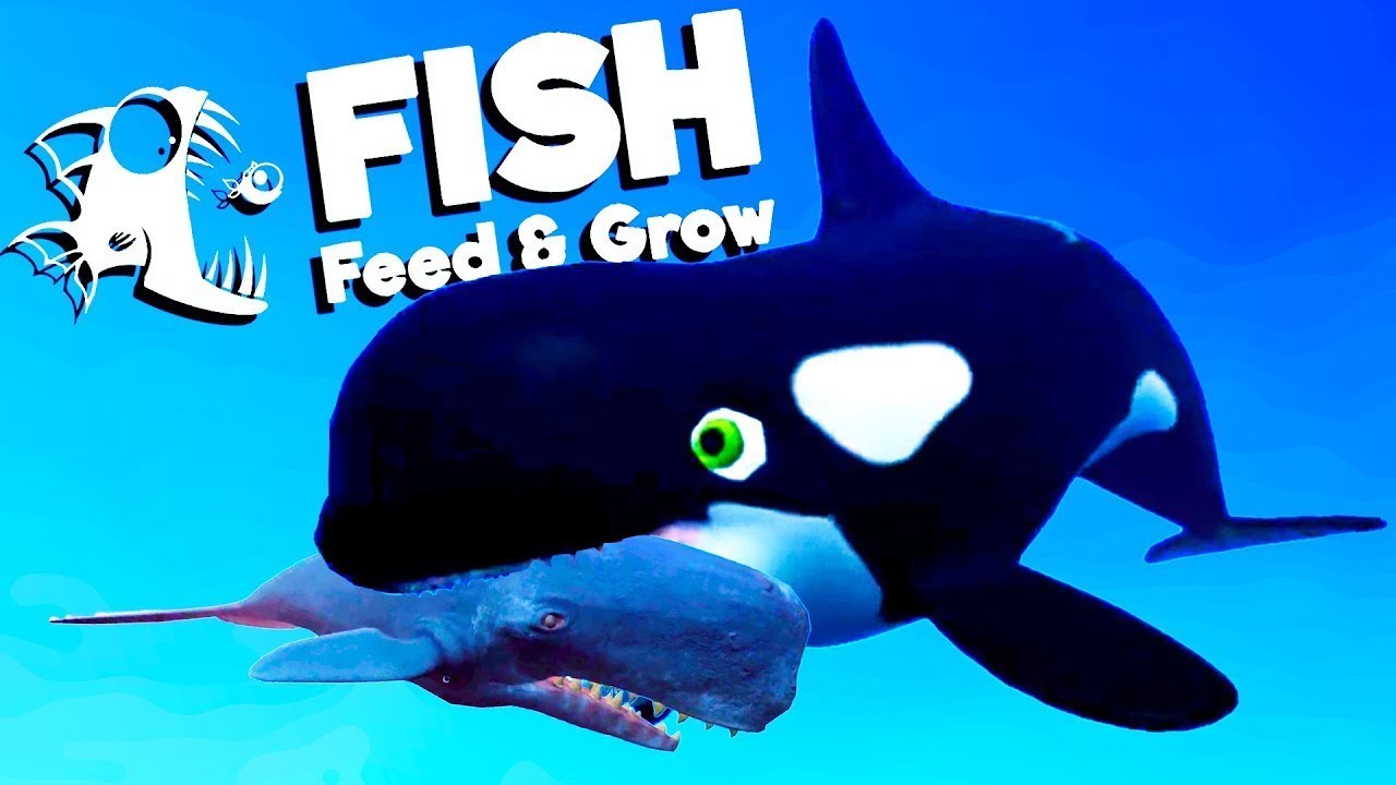 Feed and Grow Fish - Playing as an Orca - The Orange Juice # ...