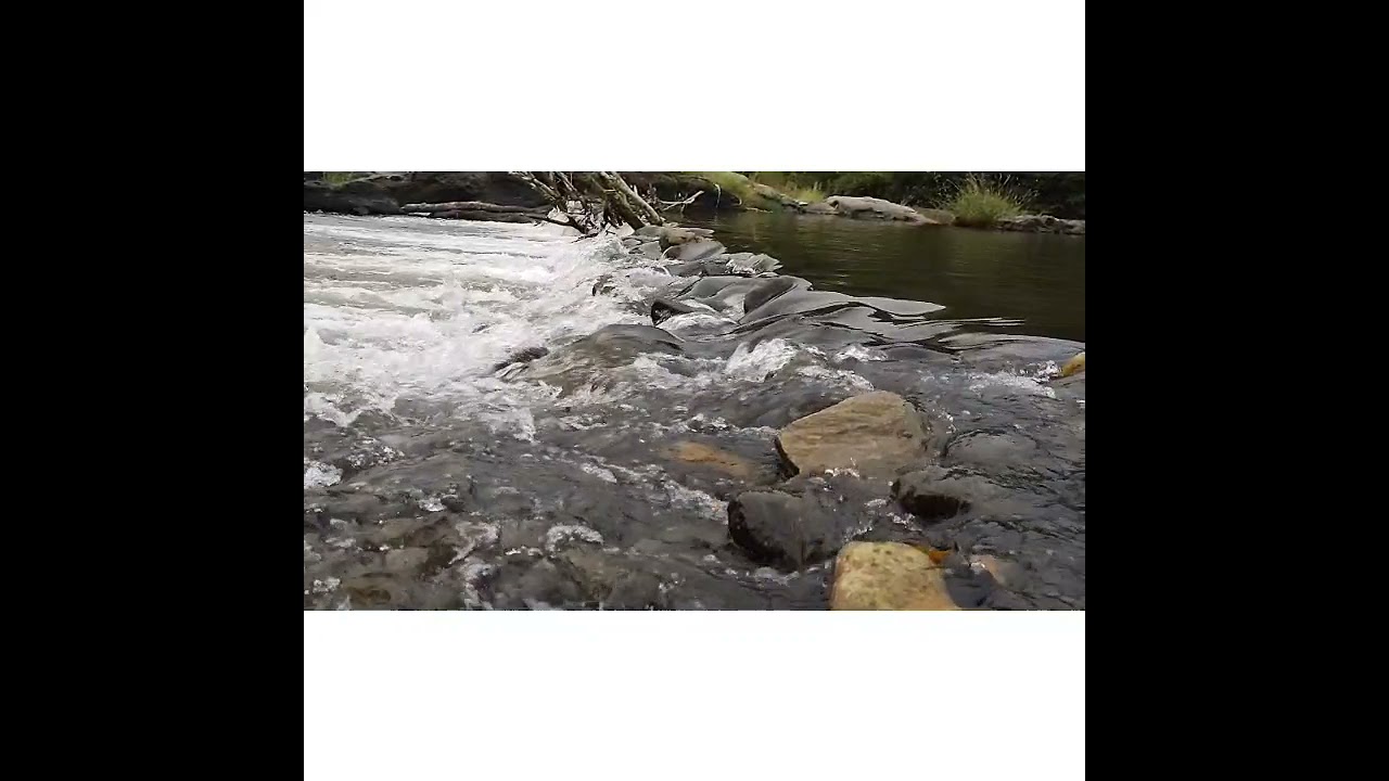 agali , Kerala.... - YouTube