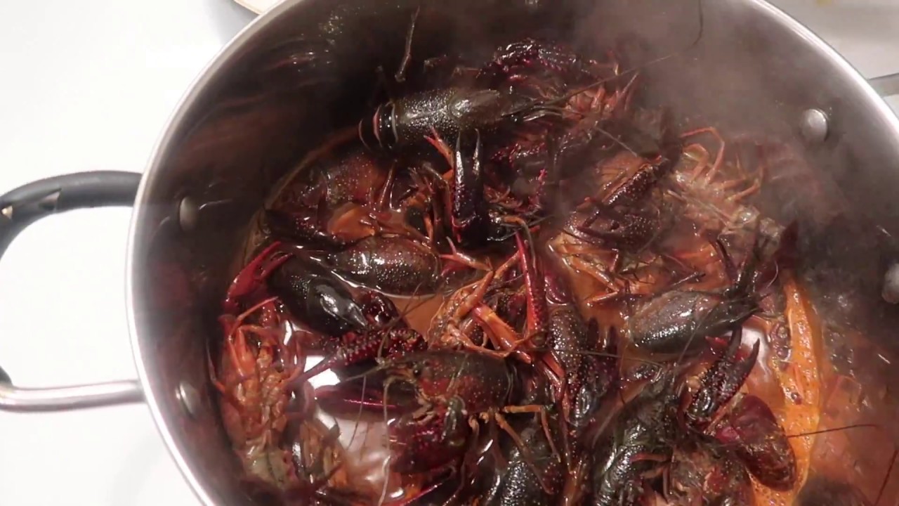 HOW TO COOK CRAWFISH! - YouTube