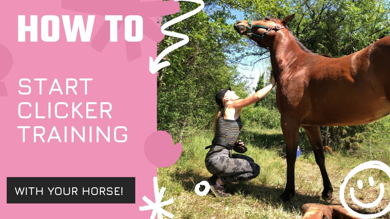 How to Start Clicker Training with your Horse! - YouTube