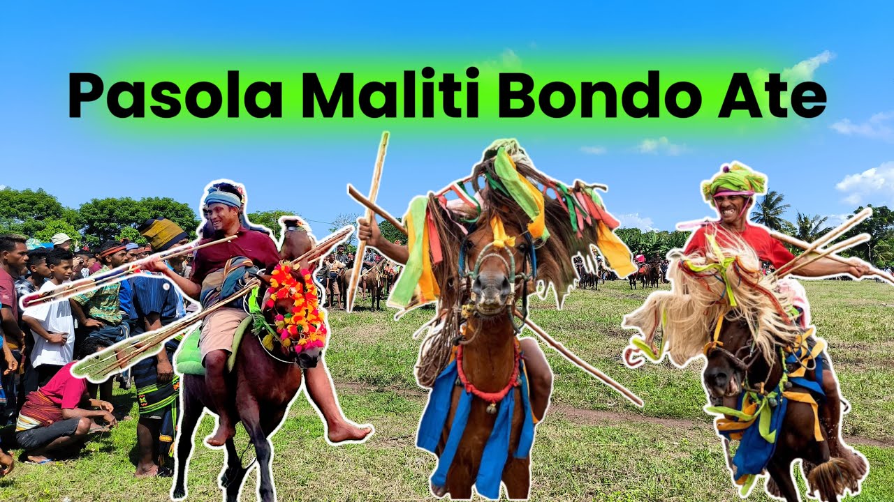 Pasola Maliti Bondo Ate || Ritual Tradisional, Tradisi & Adu ...