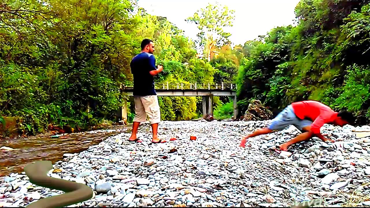 Snake attack movie trailer - YouTube