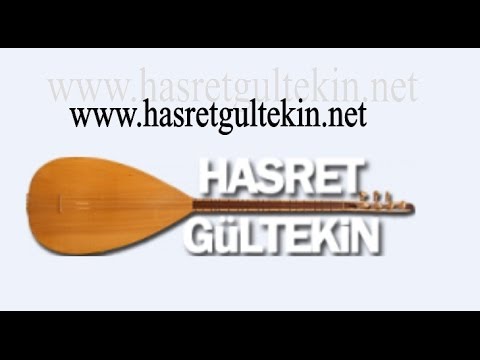 www.hasretgultekin.net