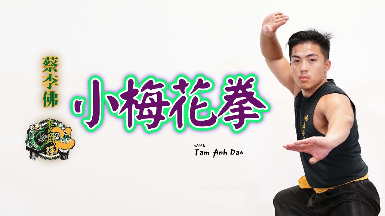 蔡李佛 - 小梅花拳 (Choy Lay Fut - Siu Mui Fa Kuen) with Tam Anh Dao - YouTube