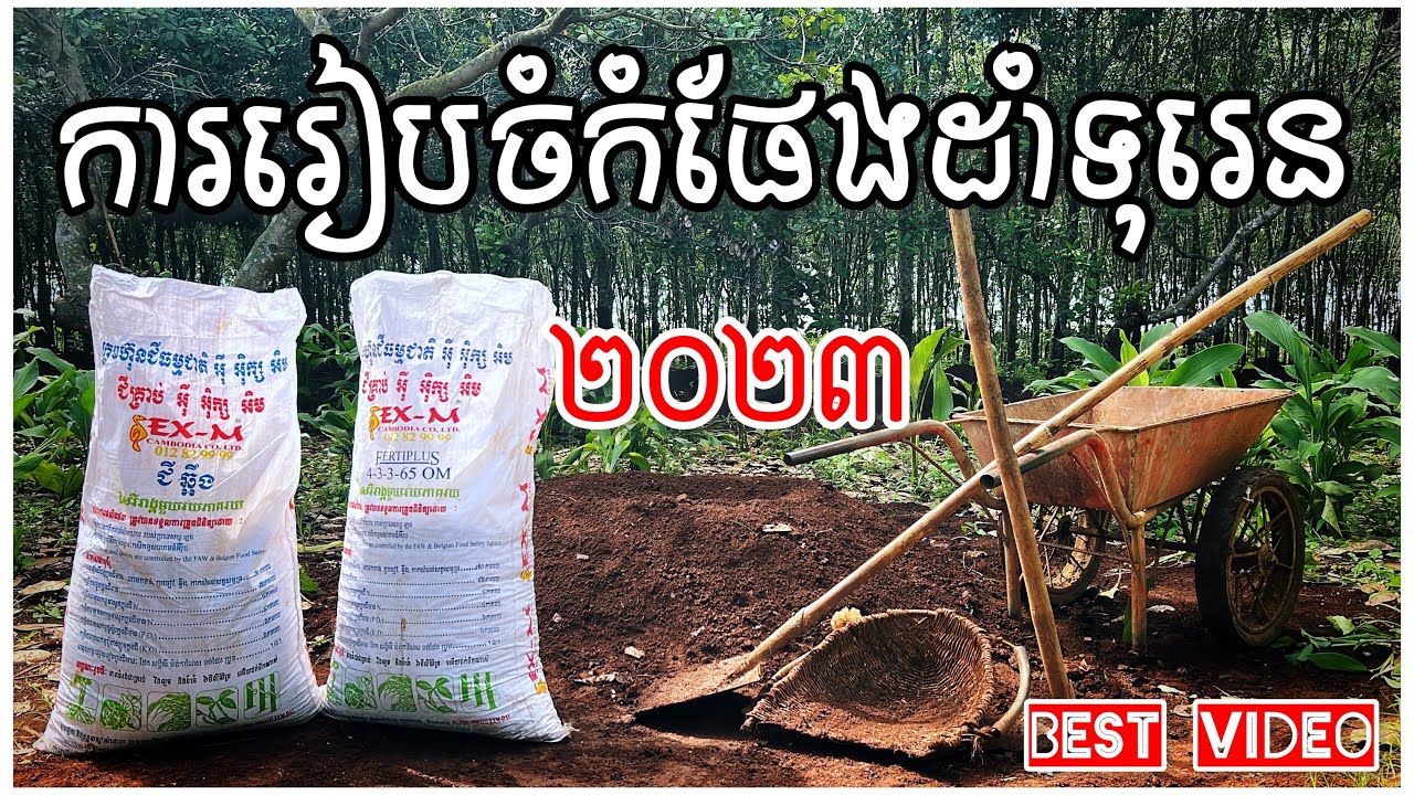 [វគ្គ I] ការរៀបចំកំផែងដាំទុរេន ២០២៣ _ how to grow durian with organic ...