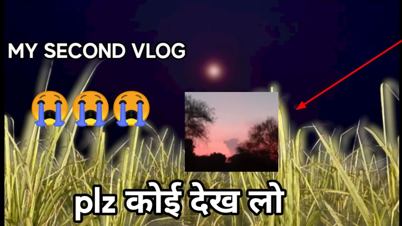 My second vlog village ritics music#myfirstblog#myfirstvlog# - YouTube