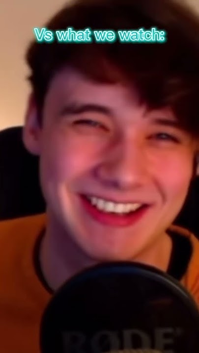 What Dream Smp Fans Like Vs What Normal” People Like Dreamsmp Charlidamelio Addisonrae