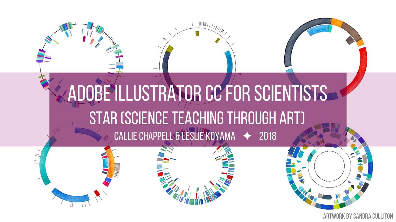Adobe Illustrator for Scientists: Part 2 - How to Use Illustrator CC ...