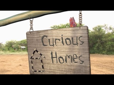 Curious homes - YouTube