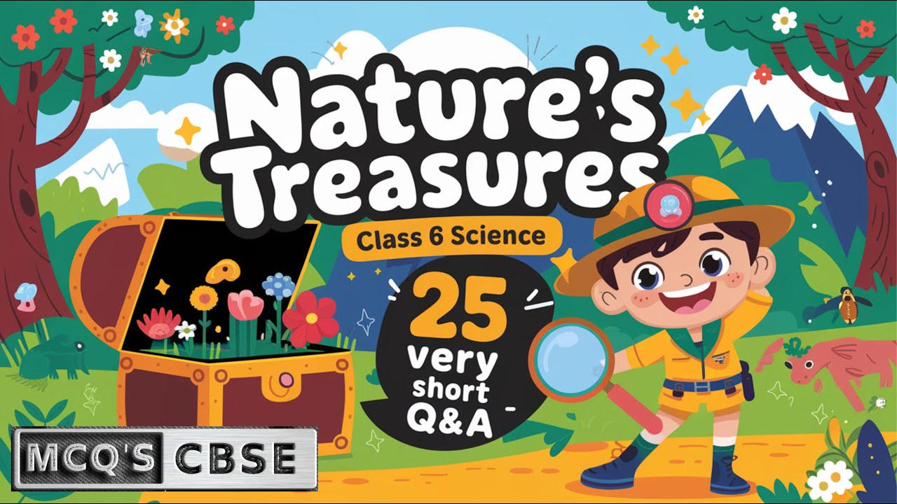 Part 1 Q&A Class 6 Curiosity Science Chapter 11 Nature's Treasures New ...