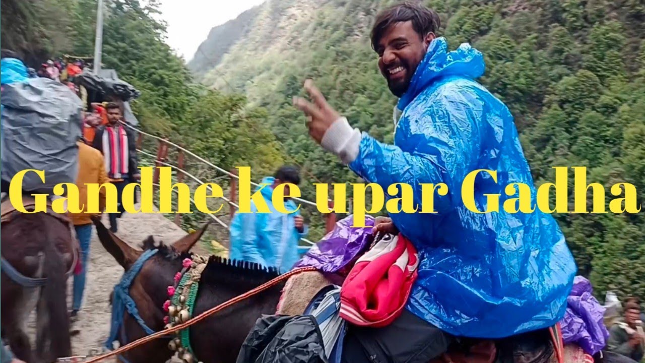 Gadhe k upar Gadha🤣🤣 - YouTube