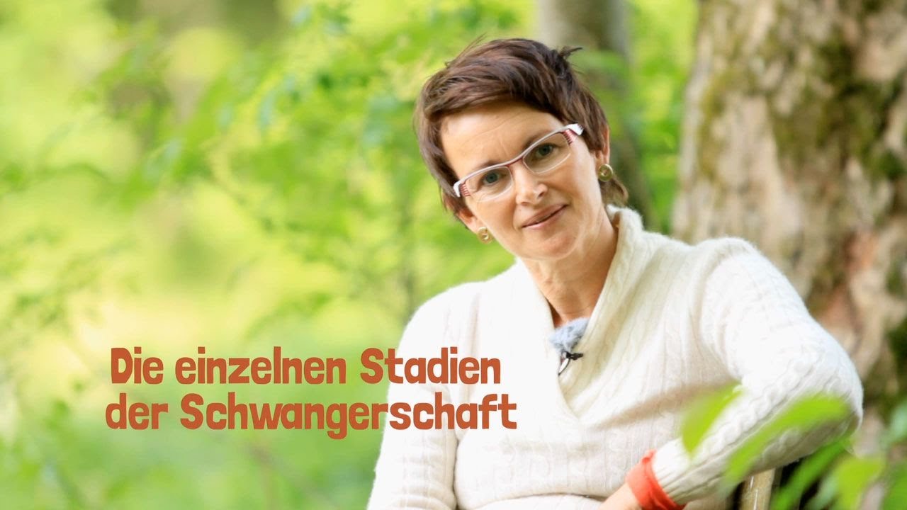 Die verschiedenen Stadien in der Schwangerschaft - Tipps und Ratschläge ...