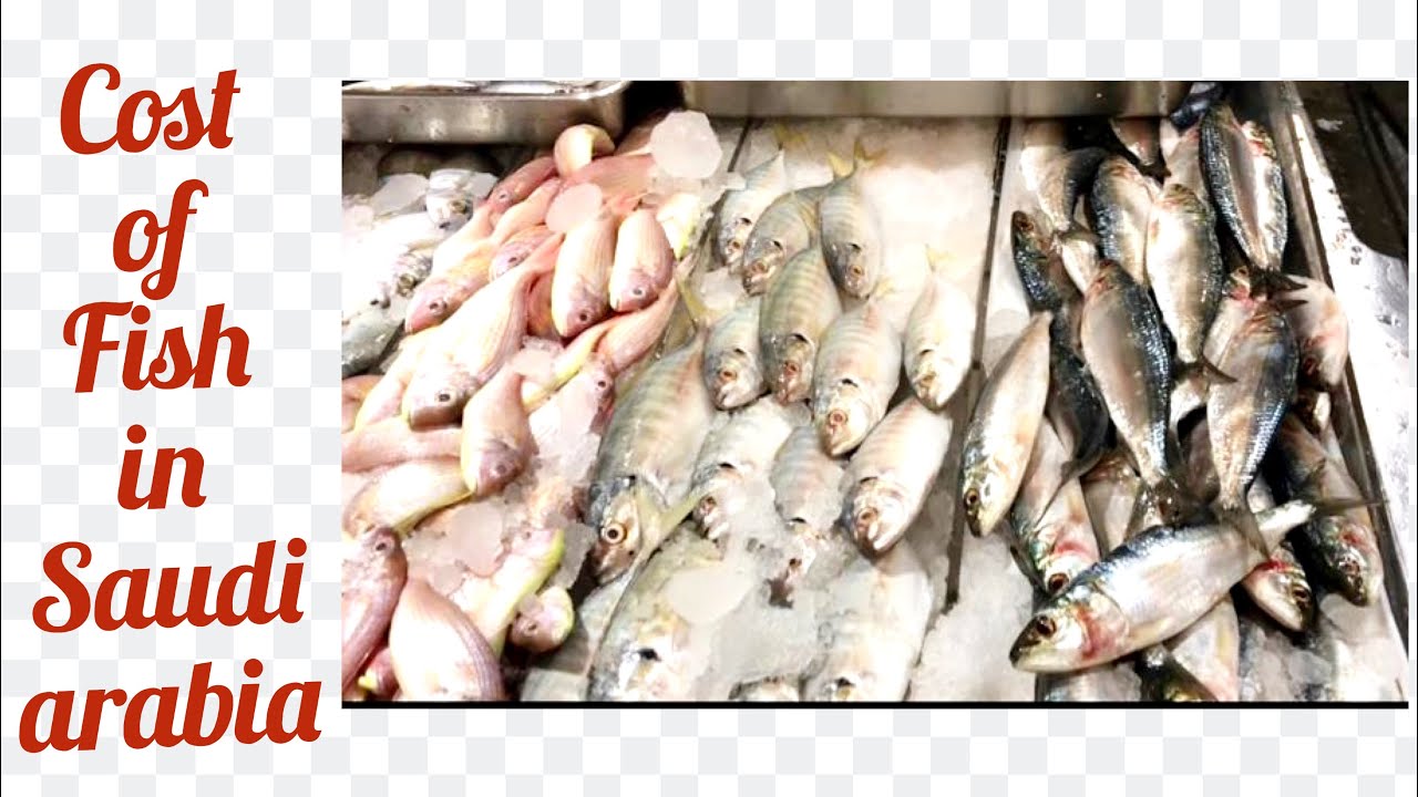 How do they sell Fish in Saudi??? Cost of fish in saudi? - YouTube