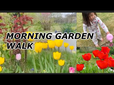 SPRING GARDEN TOUR | MORNING GARDEN WALK | GARDEN TIME - YouTube