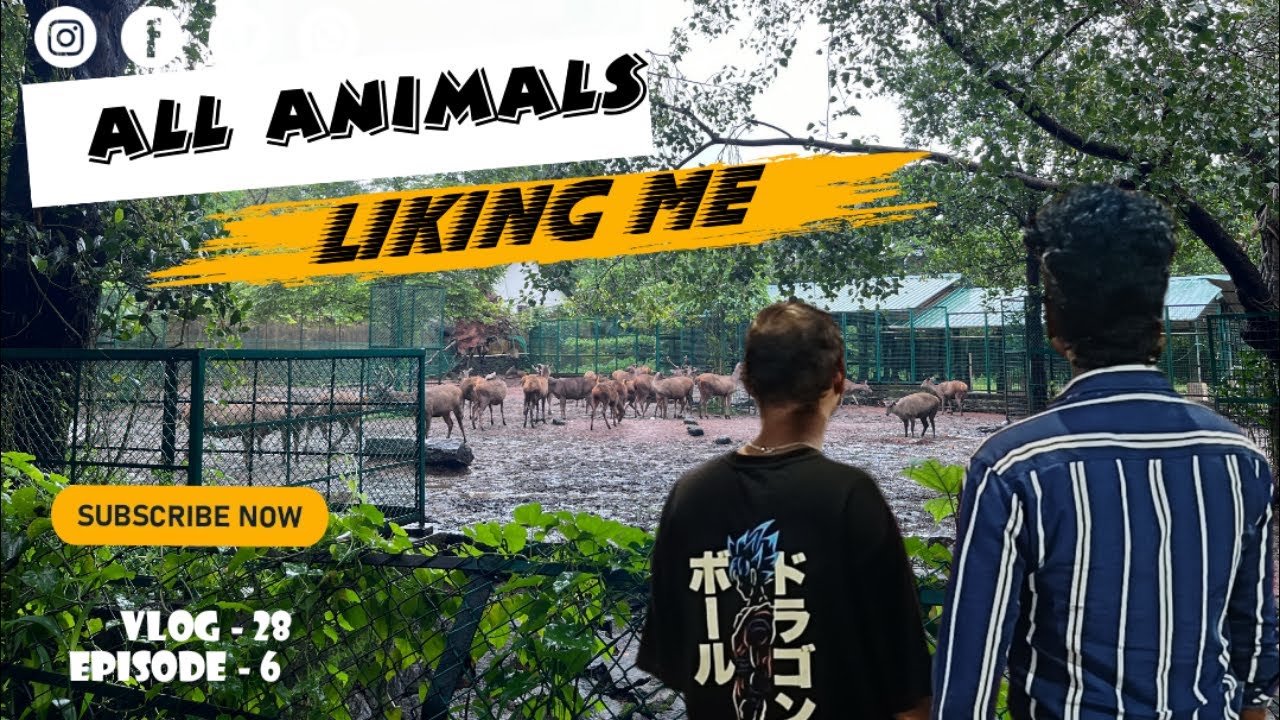 All Animals Liking Me - Trissur Zoo & Museum | Kerala Series | I Vlogs ...