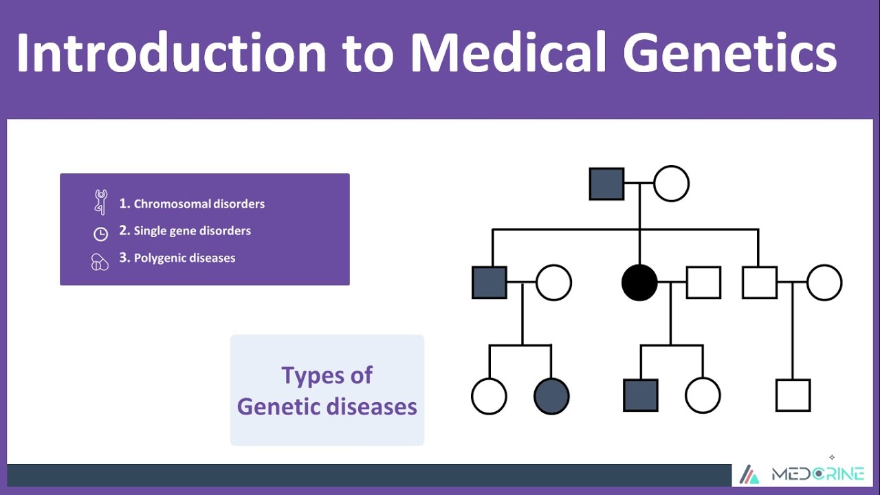 Introduction to Medical Genetics Simplified - YouTube