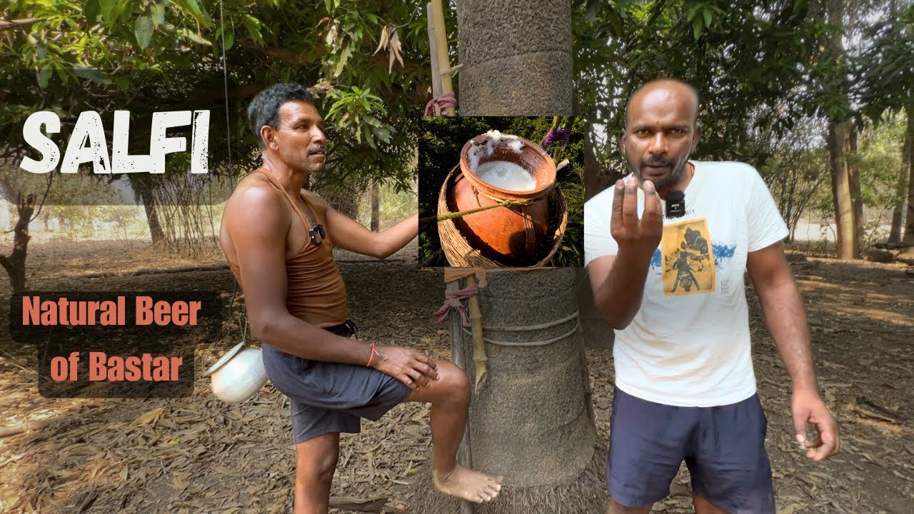 Salfi: The Natural Beer of Bastar 🍺 Rare & Unseen Footages - YouTube