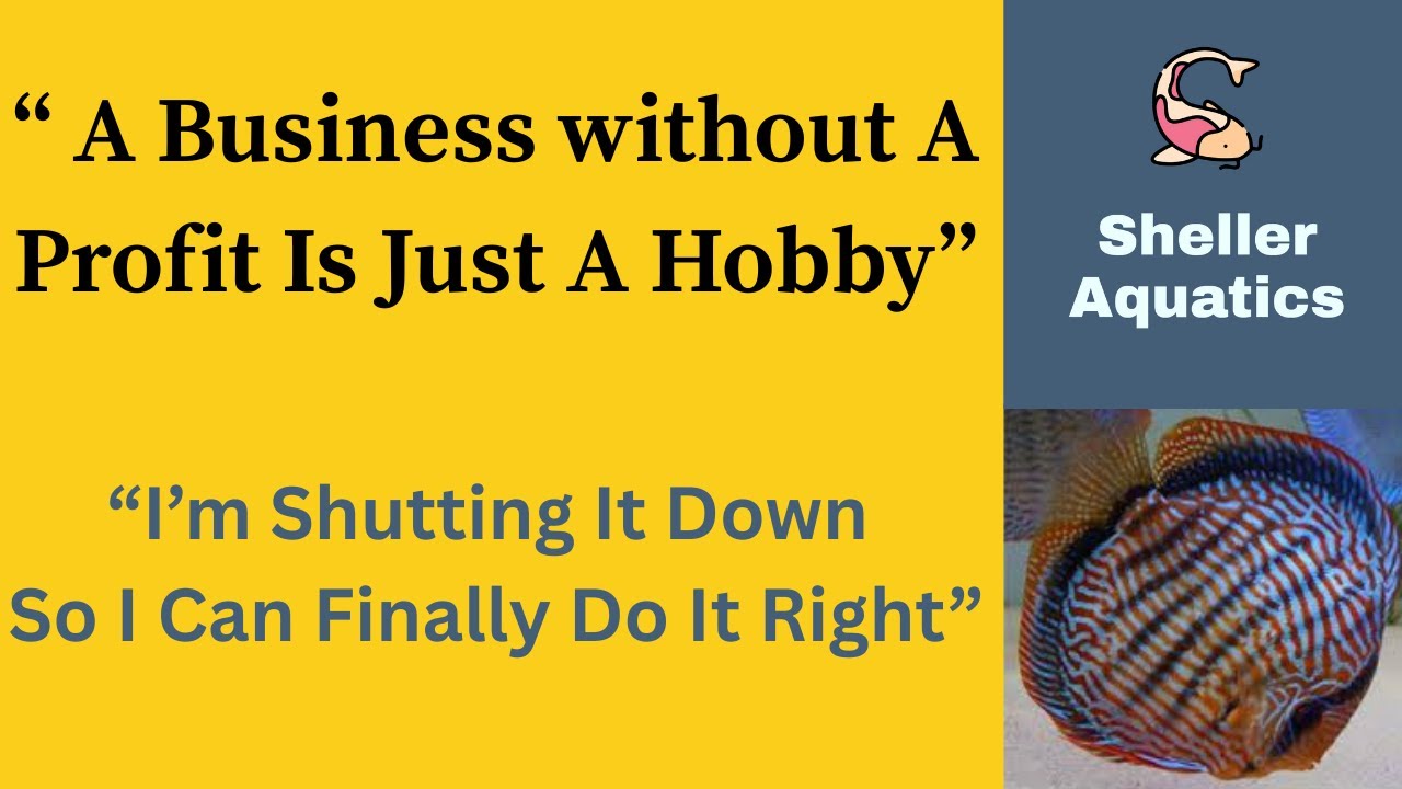 “I’m Shutting It Down — So I Can Finally Do It Right” - YouTube