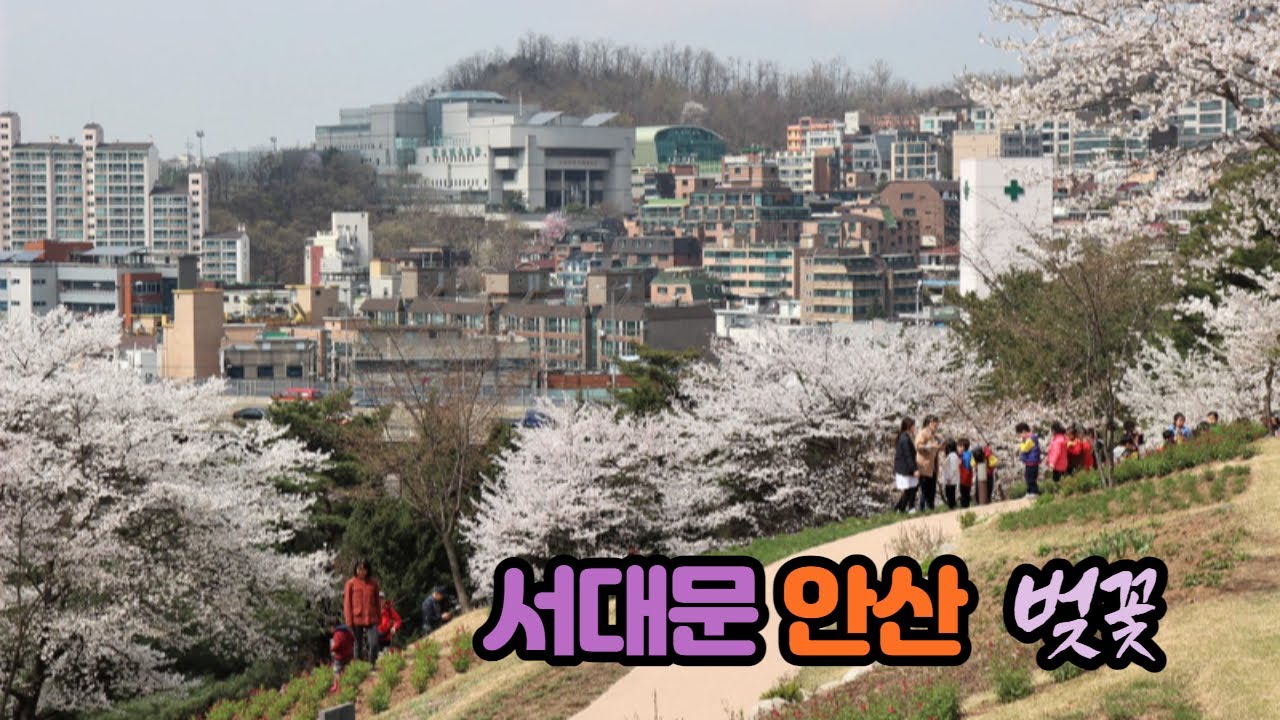 【4K】 Walking around Hongjecheon and Mt. Ansan in Seoul, Korea 서대문 홍제천 ...