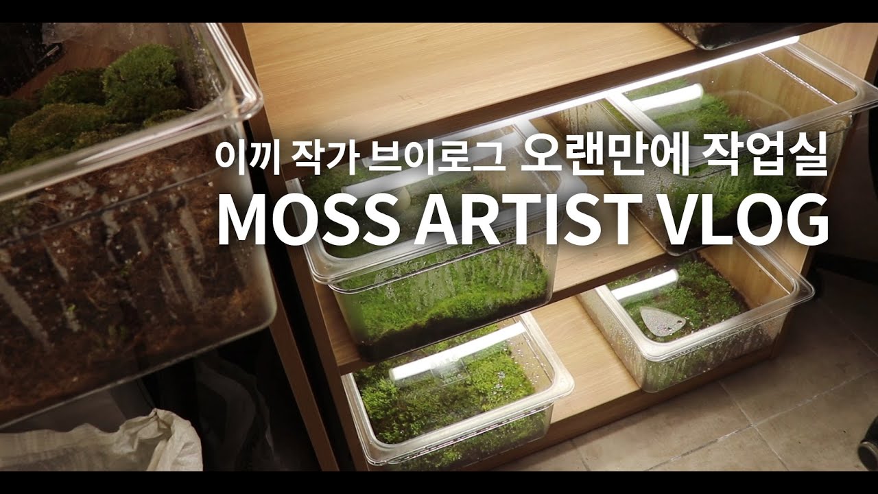 MY MOSS LAB 오랜만에 간 이끼 작업실 MOSS ARTIST VLOG - YouTube