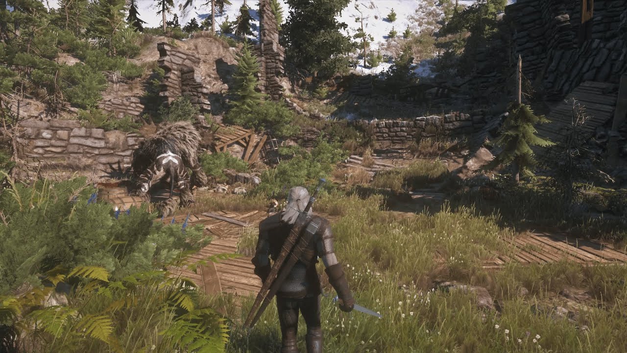A Little Combat Video with Very Early Beta Animation Mod (Witcher 3 ...