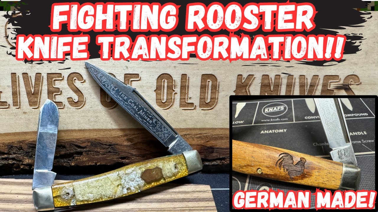 Fighting Rooster Knife Transformation! From Abused to Amazing! - YouTube