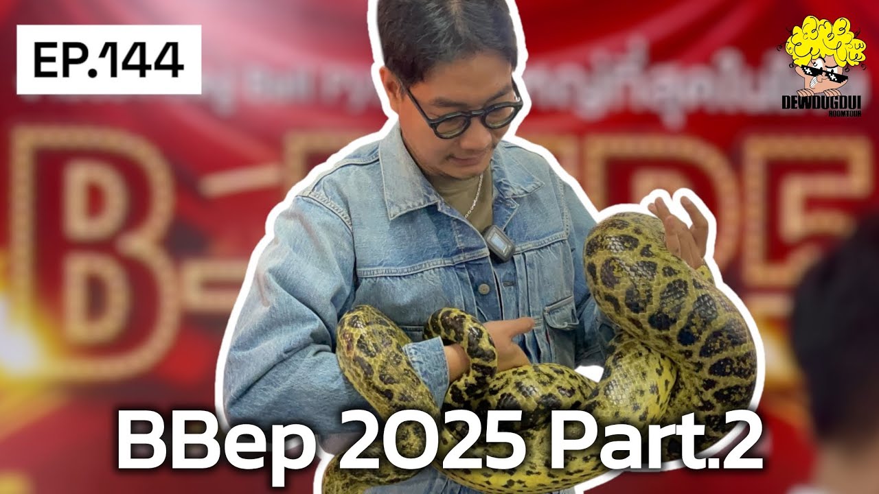Room tour by Dewdugdui.s EP.144 | พาชมบูธในงาน B-Bep 2025 Part.2 🔥 #Dewdugdui #ballpython - YouTube