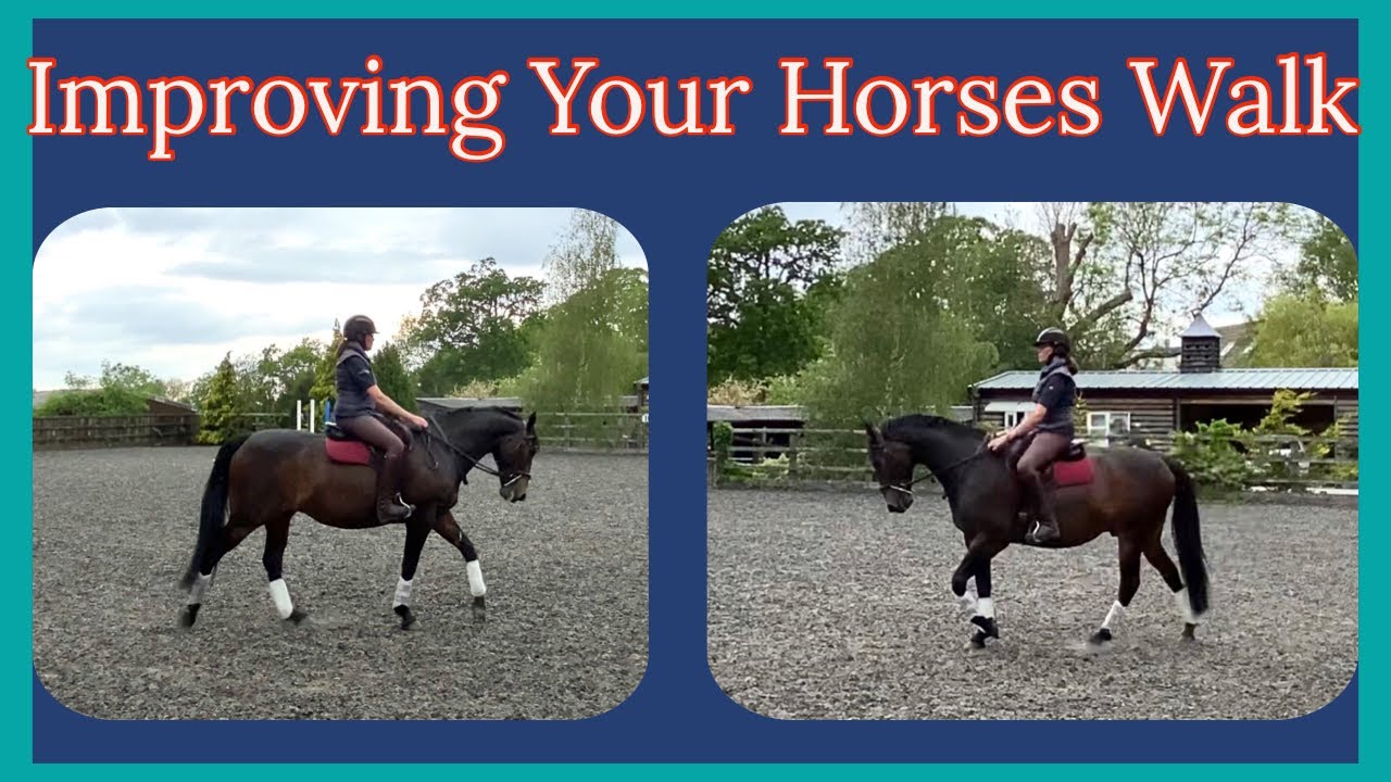 HOW TO IMPROVE YOUR HORSES WALK & REDUCE TENSION & JOGGING | Dressage ...