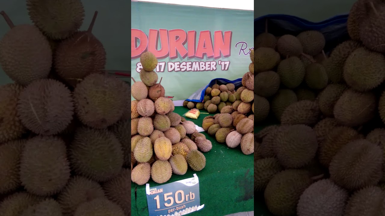 Festival durian Mall Living Plaza Alam sutera - YouTube