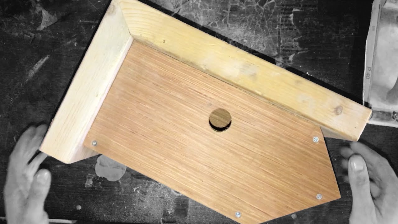 Green Feathers Side View Bird Nest Box Replica Build - YouTube