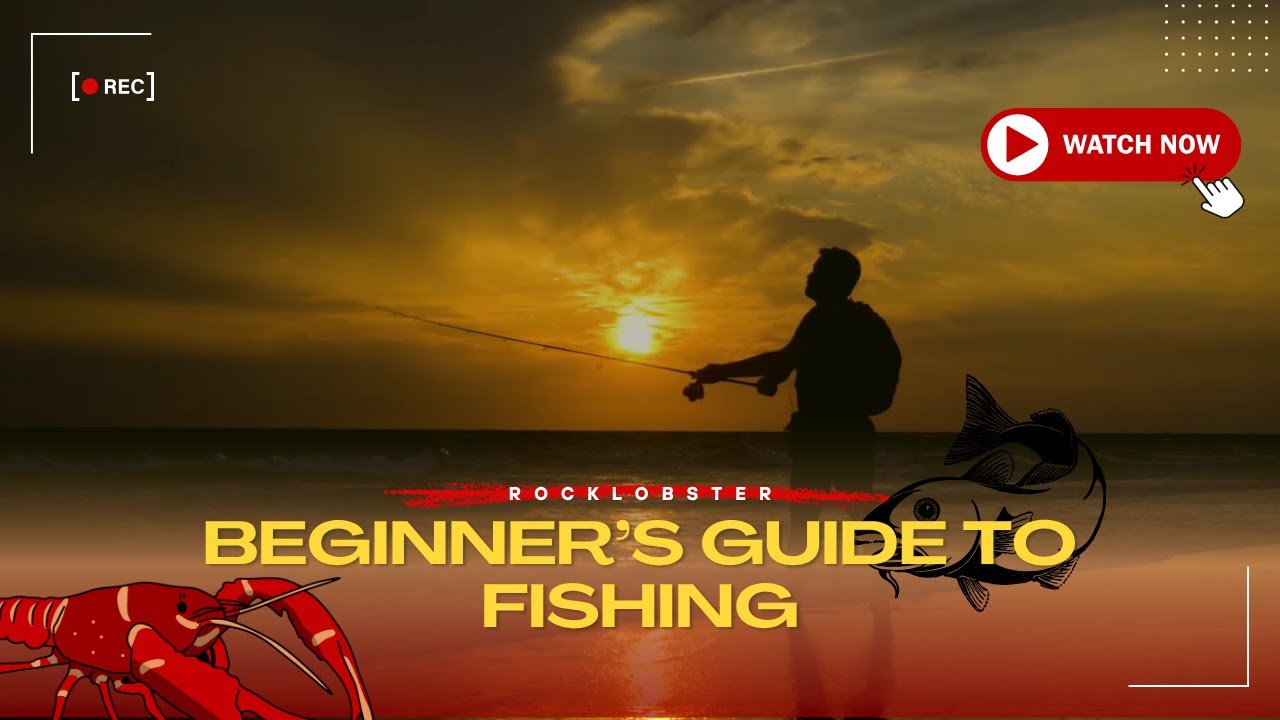 Beginner’s Guide to Fishing 🎣 - YouTube