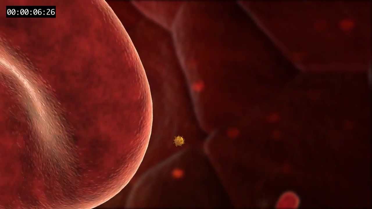 Red Blood Cell/Nanoparticle 3D Animation Clip - YouTube