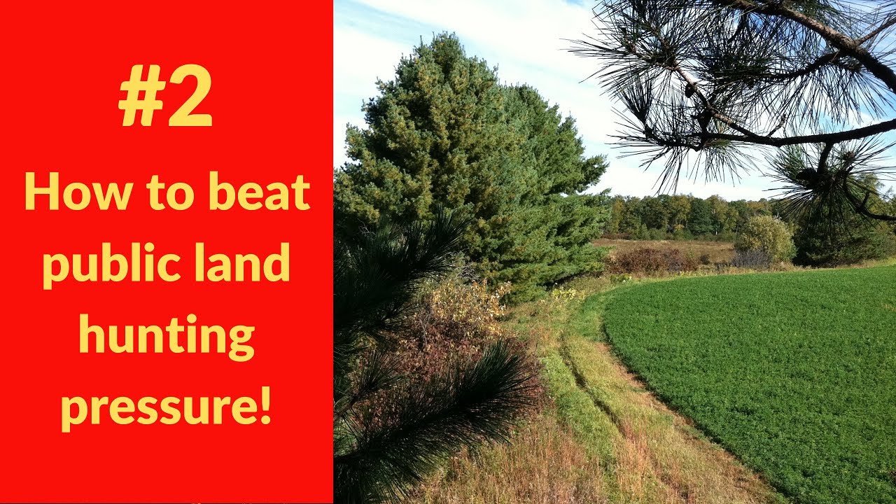 #2 Public land hunting pressure - overlooked properties - YouTube