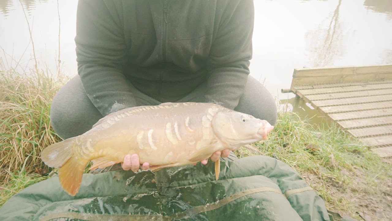 fishing at charity farm in Wigan - YouTube
