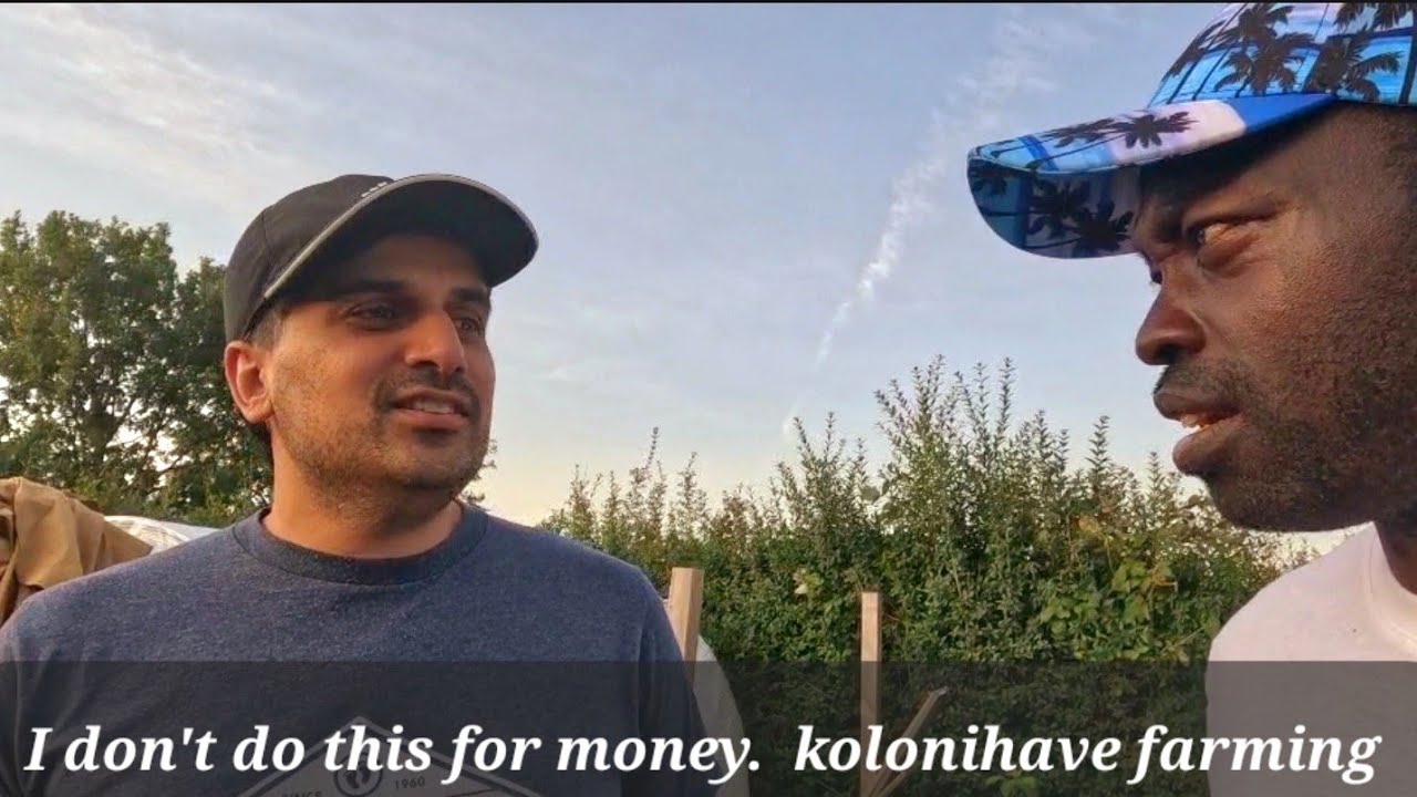 Discover the Captivating form of Farming in Denmark.KOLONIHAVEN Farming ...