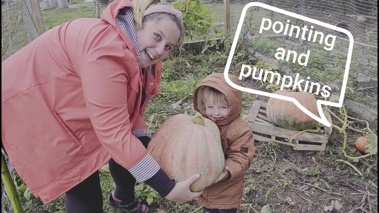 Escape to rural france -pointing and pumpkins EP010 - YouTube
