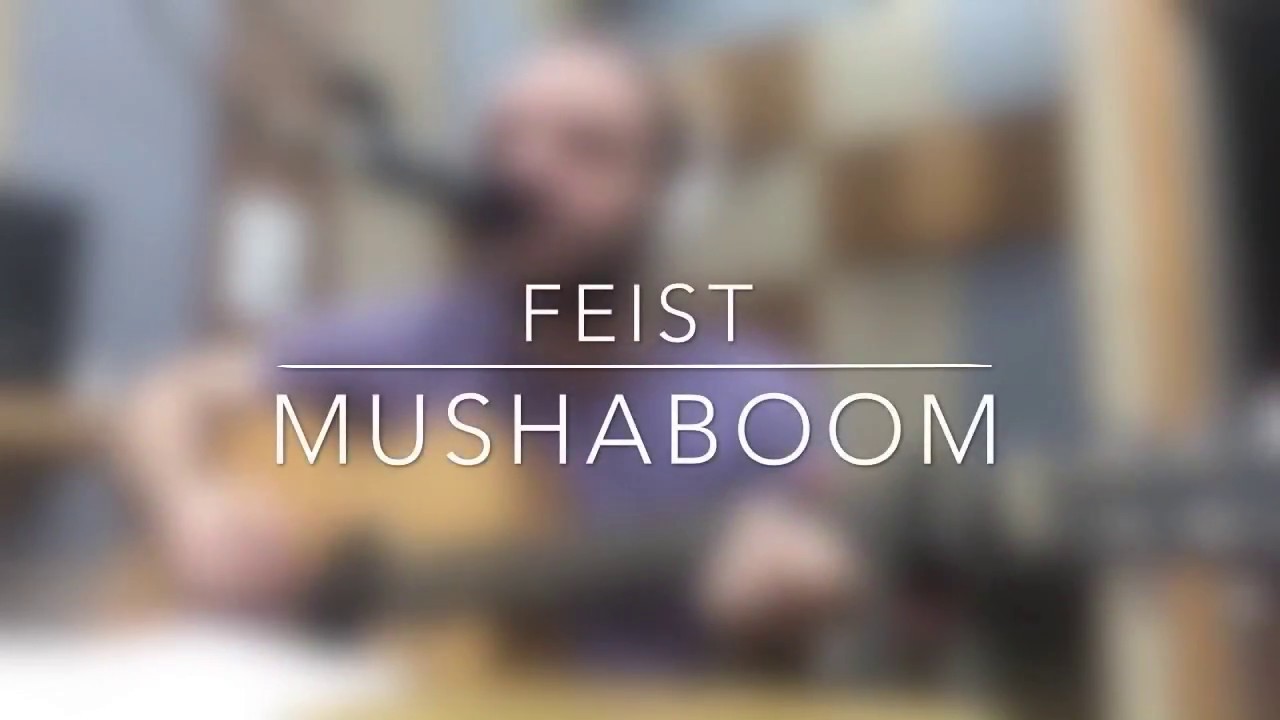 Mushaboom - Feist (acoustic cover) - YouTube