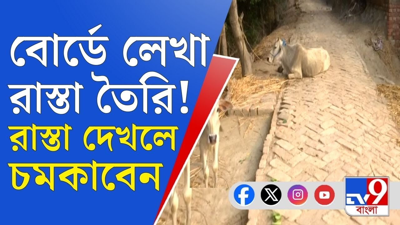 Sandeshkhali Road Issue: শাহজাহান-শিবুদের 'গা জোয়ারি-লুঠপাট', রাস্তা তৈরির বোর্ড থাকলেও রাস্তা ...