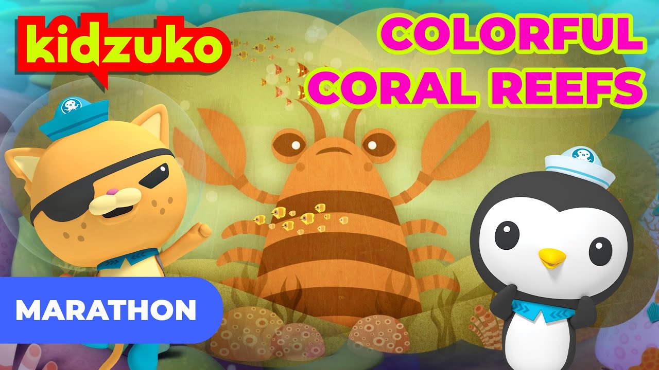 @Octonauts - 🌈 Exploring a Rainbow Coral Reef 🪸 | Full Episodes ...