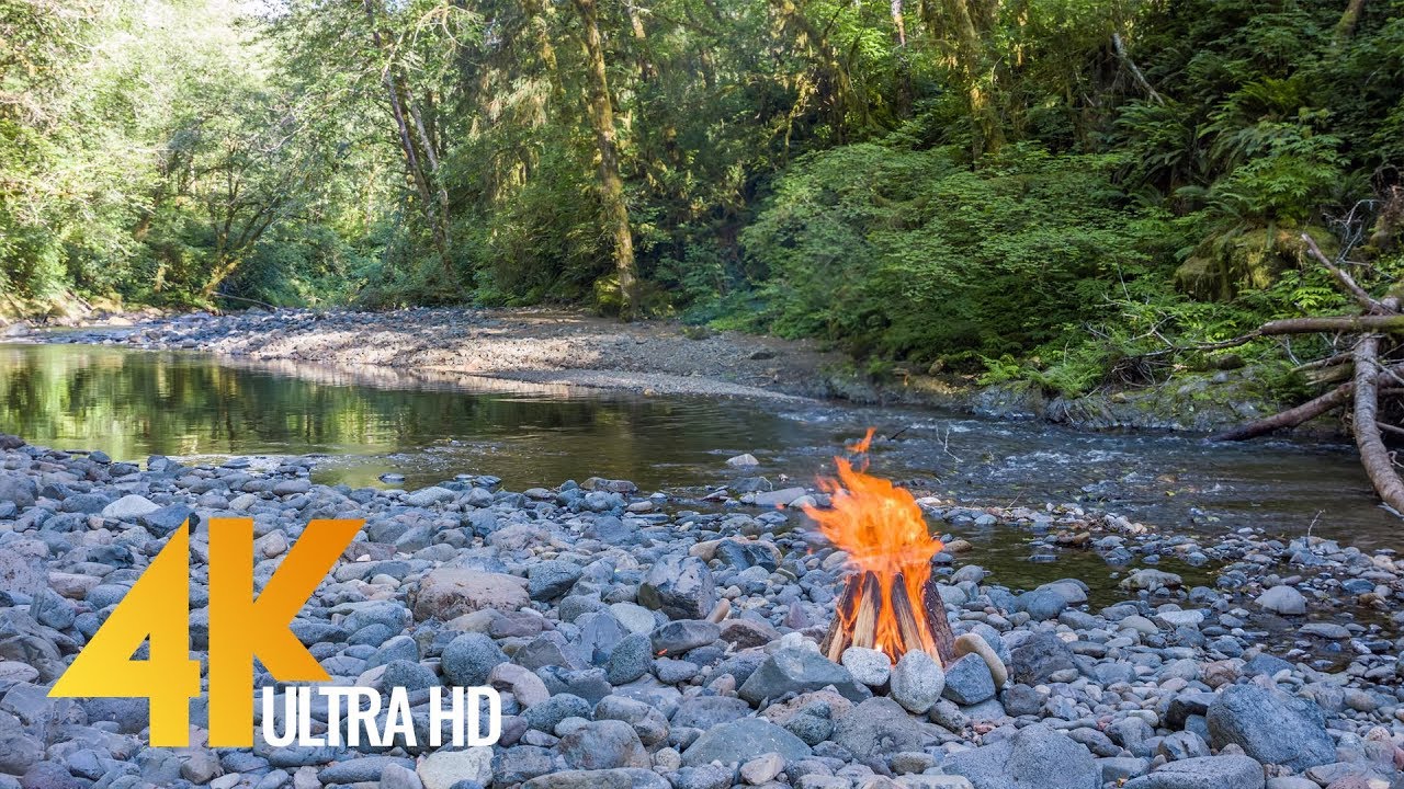 River Campfire - 5 Hour Peaceful Fire Sounds & Birds Chirping in 4K ...