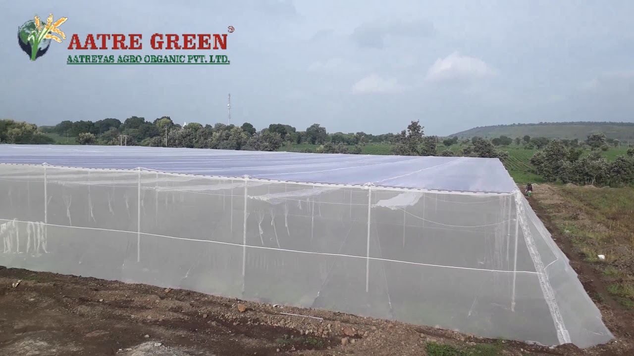 Low Cost Wire Rope Flat Nethouse |AATRE GREEN| - YouTube