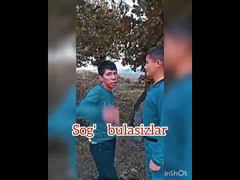 Trent videolar.uz 2022 yildagi trentlar