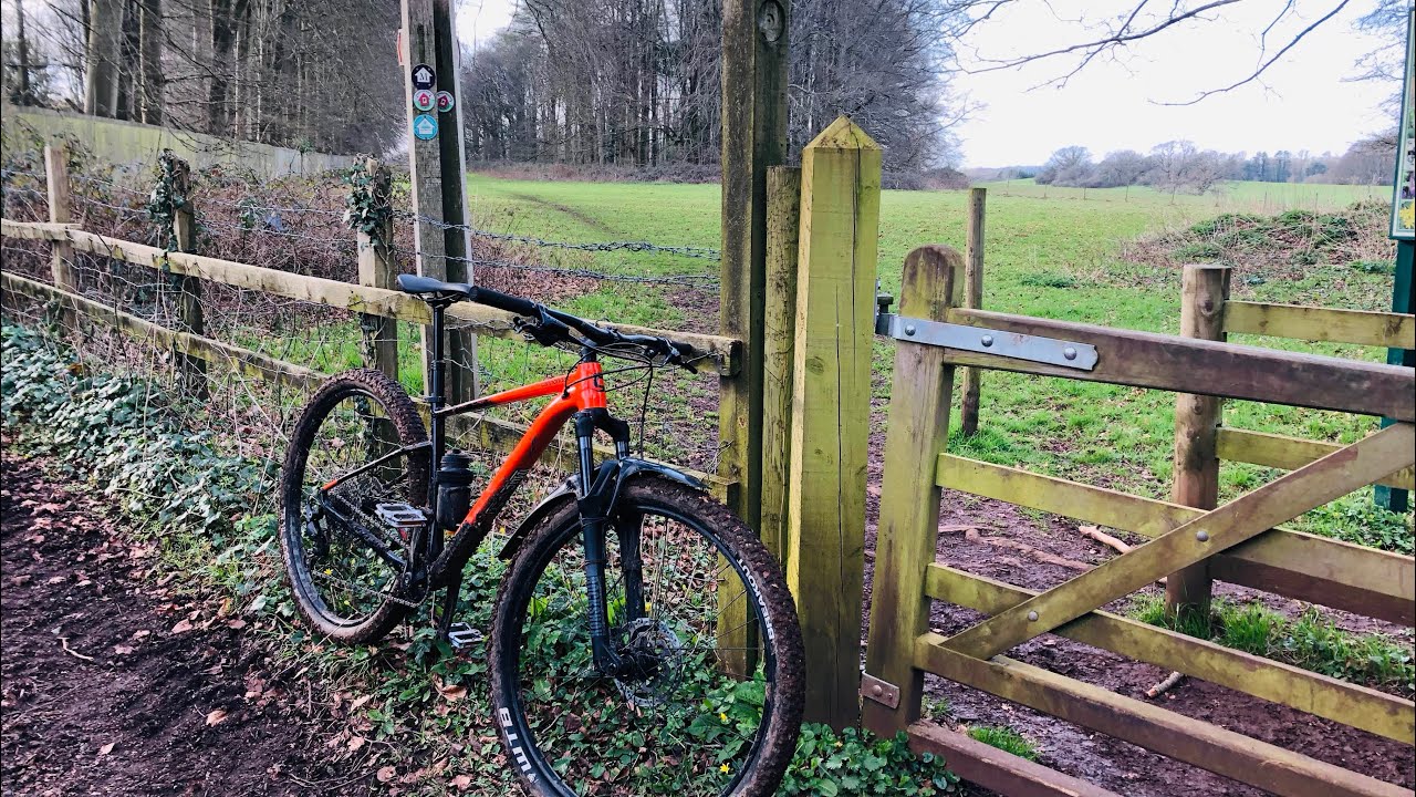 Muddy Wheels and Bulls on the Cannondale Trail SE Three Hardtail - YouTube