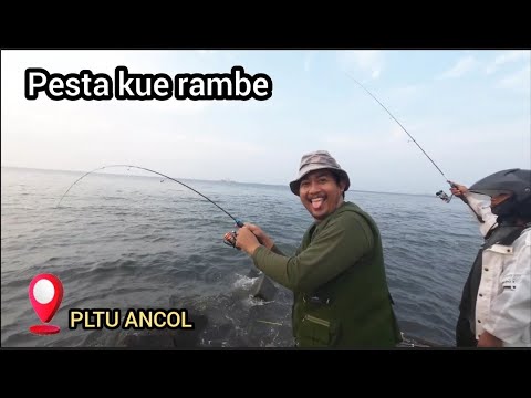 bakar ikan mj jumbo ⭕️ spot pltu ancol Part 2 - YouTube