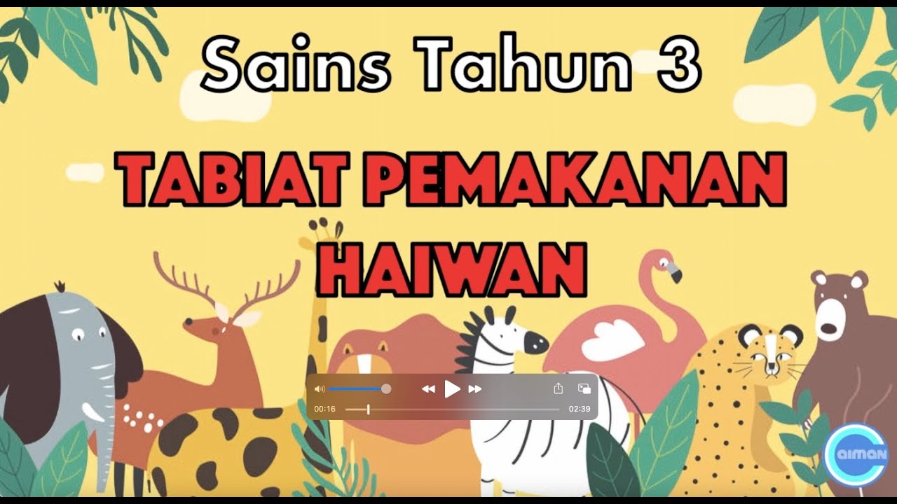 Sains Tahun 3 | Haiwan | Tabiat Pemakanan Haiwan - YouTube