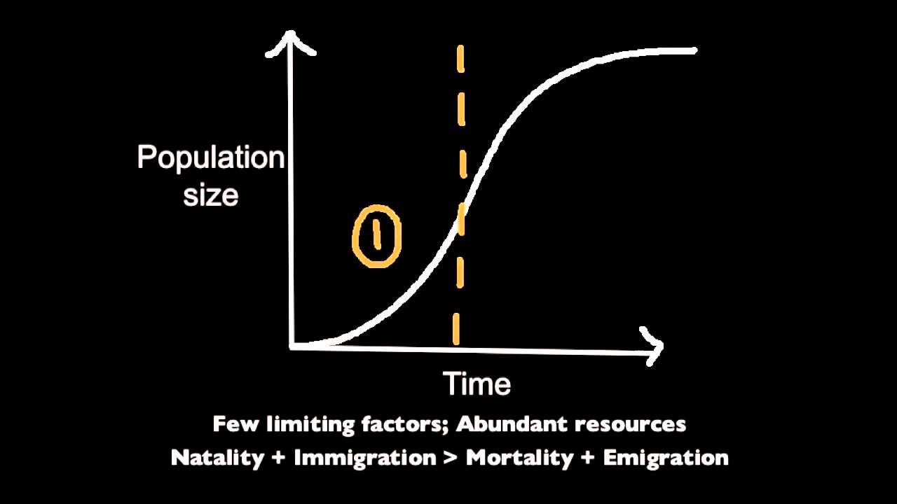 5.3.3 Explain the reasons for the phases of the population growth curve ...
