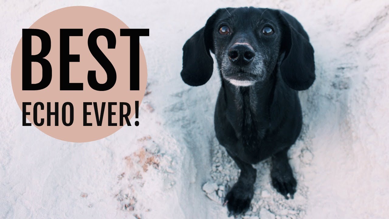 The Most Amazing Echo Ever! - YouTube