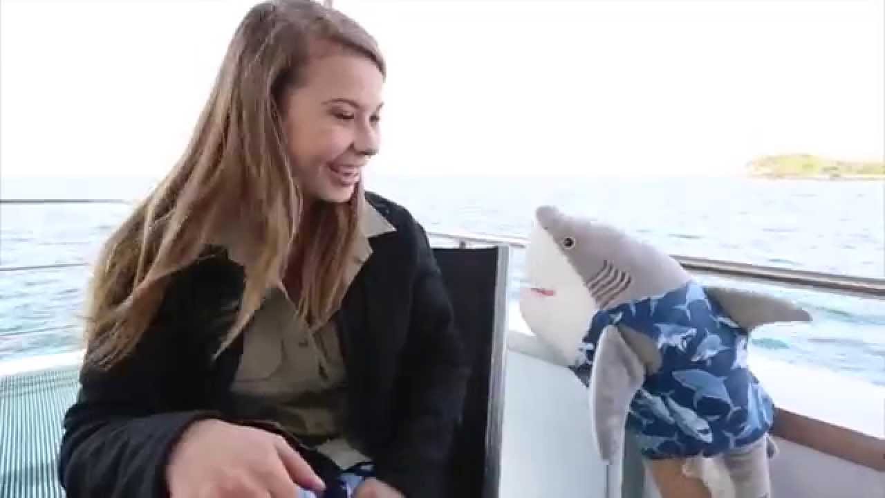 Mr Shark & Bindi Irwin on Saving The Oceans - YouTube