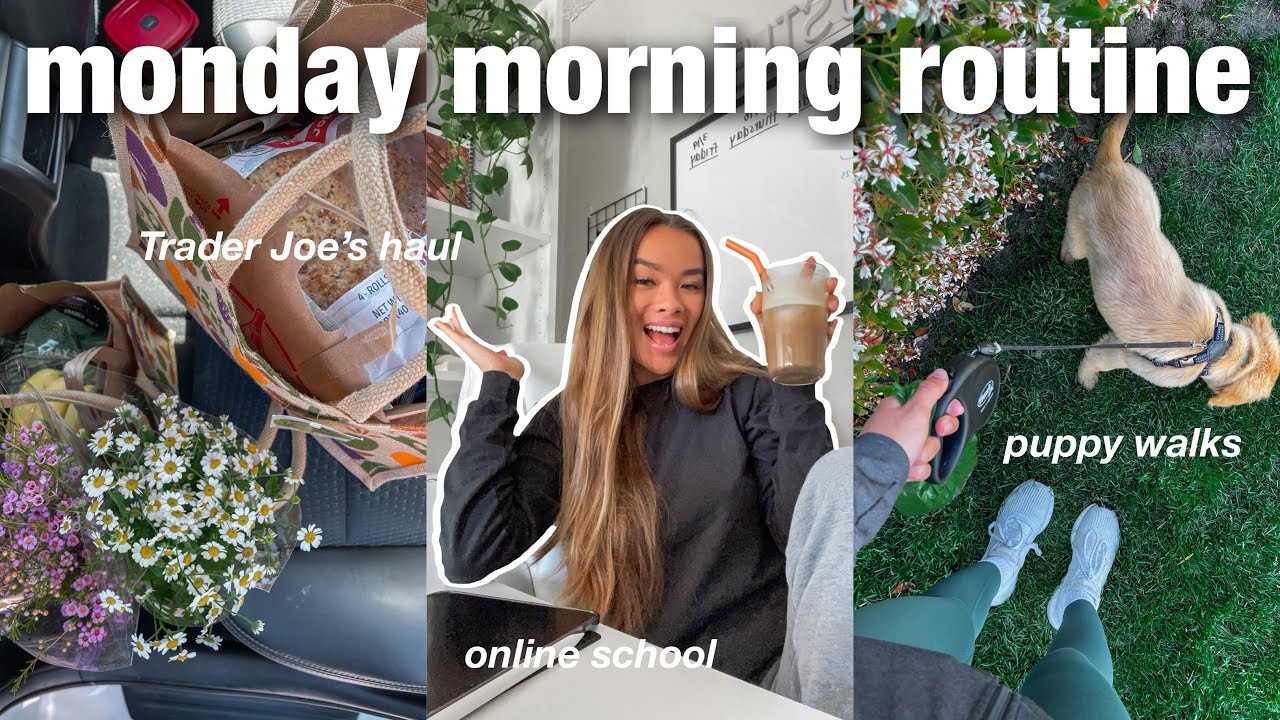 monday morning productivity routine 🧚🏽‍♂️ | online school, grocery ...